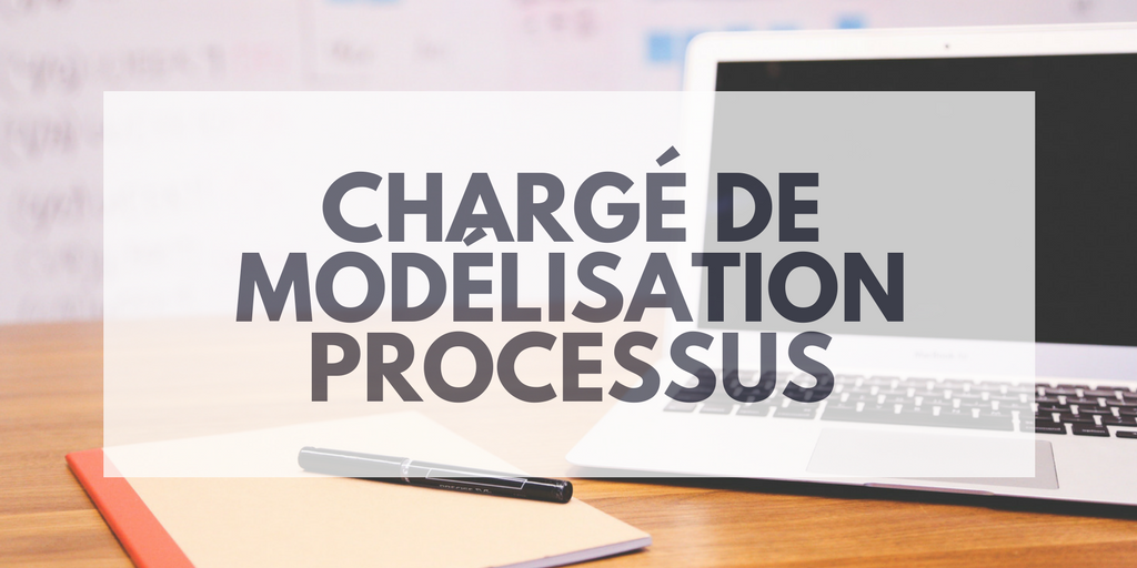 Chargé de Modélisation Processus - Insitoo Lille - Mission Freelances ...