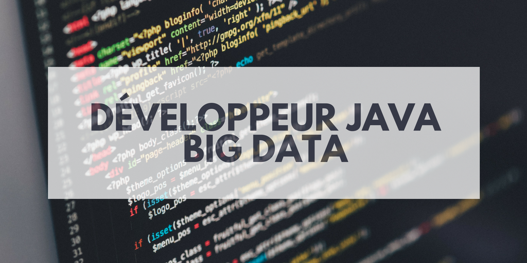 Développeur Java Bigdata Insitoo Lille Mission Freelance Dénicheur De Talents