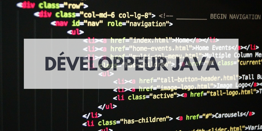 Developpeur Java - Insitoo Lille - Mission Freelance - Dénicheur de talents