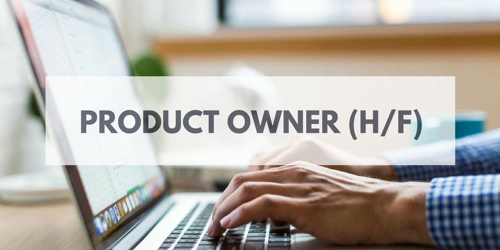 Proxy Product Owner (H/F) - Insitoo Lyon - Mission Freelances - Insitoo ...