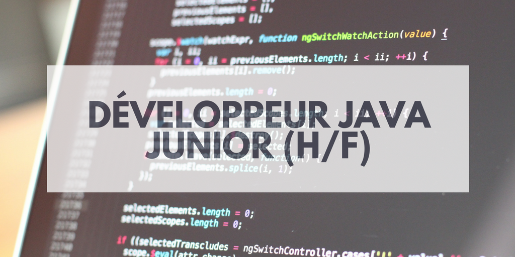 Développeur Java Junior (H/F) - Insitoo Lille - Mission Freelances ...