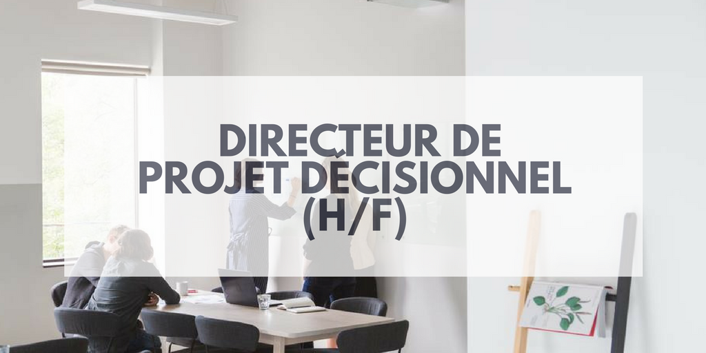 Directeur de projet Décisionnel (H/F) - Insitoo Lille - Mission ...
