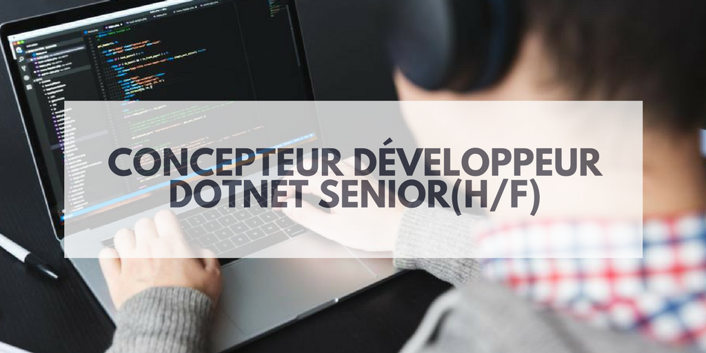 Concepteur Développeur DotNet Senior (H/F) - Insitoo Freelances - Dénicheur de talents