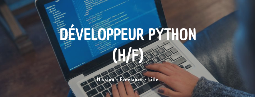 Développeur Python (HF) - Insitoo Freelances - Dénicheur de talents
