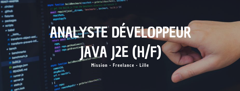 Analyste Développeur Java J2E (H/F) - Insitoo Lille - Mission ...