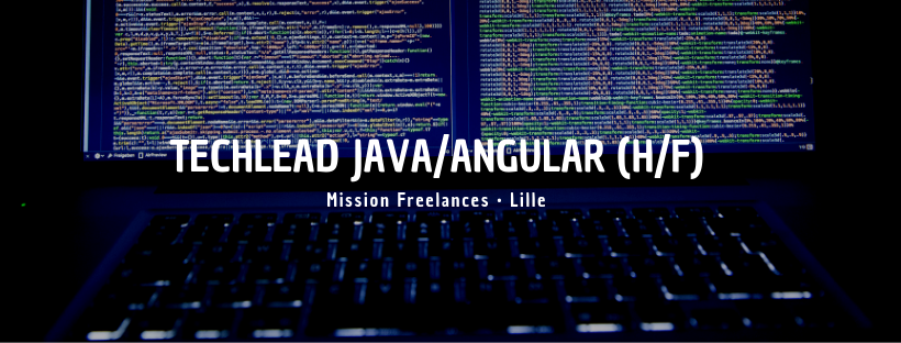 Techlead Java Angular H F Insitoo Lille Mission Freelances Dénicheur De Talents